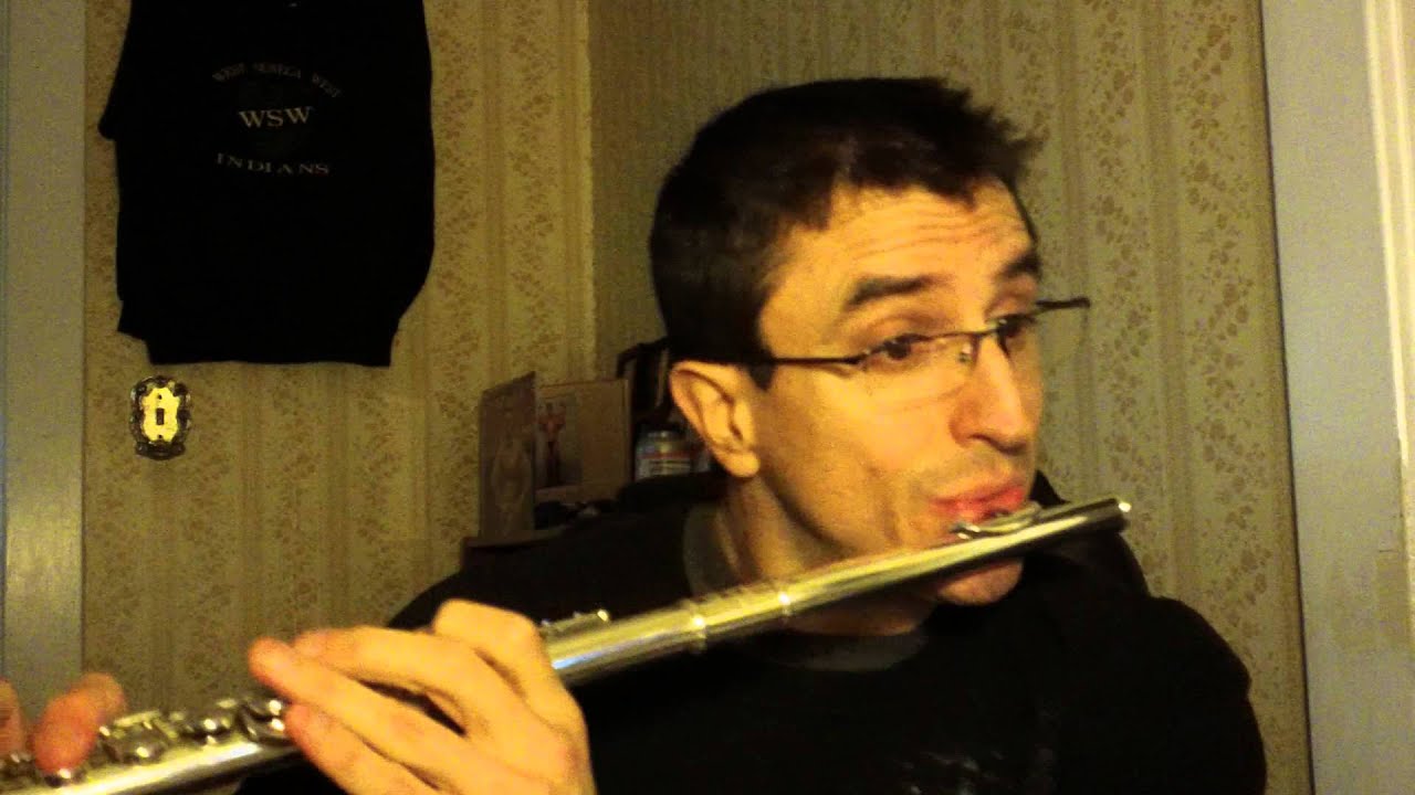 Concerning Hobbits - Lord of the Rings Flute Cover Music by Howard ...
