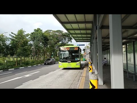 SG1817S Euro 6 MAN NL323F A22 Service 269 - YouTube