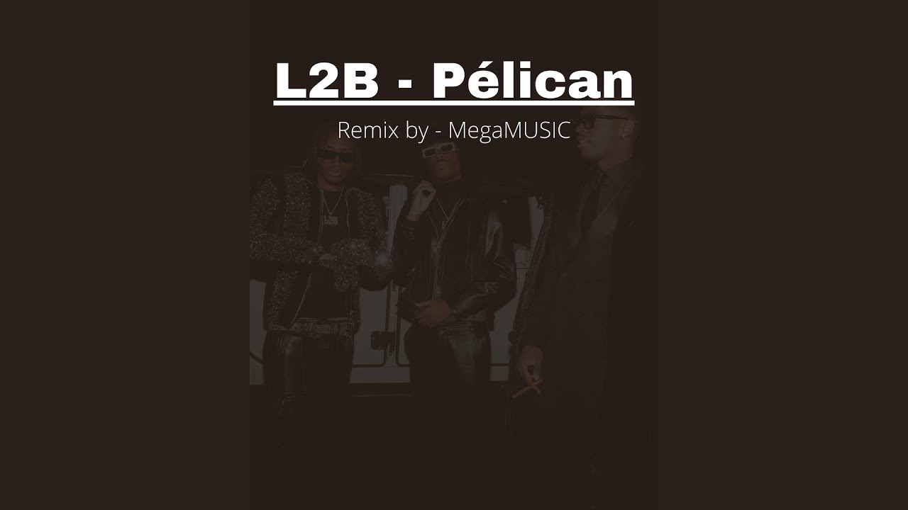 L2B - Pélican - 1 Hour Song | - YouTube