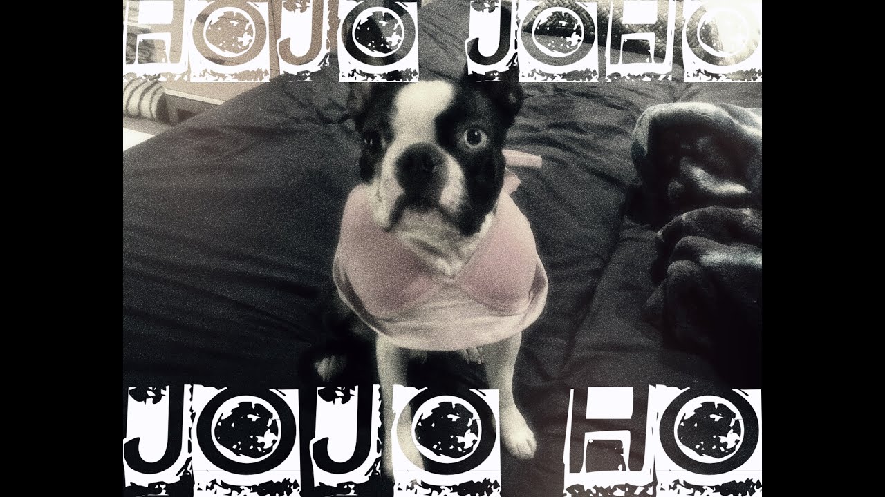 Happy Birthday Amy: Hojo Joho Jojo Ho - YouTube