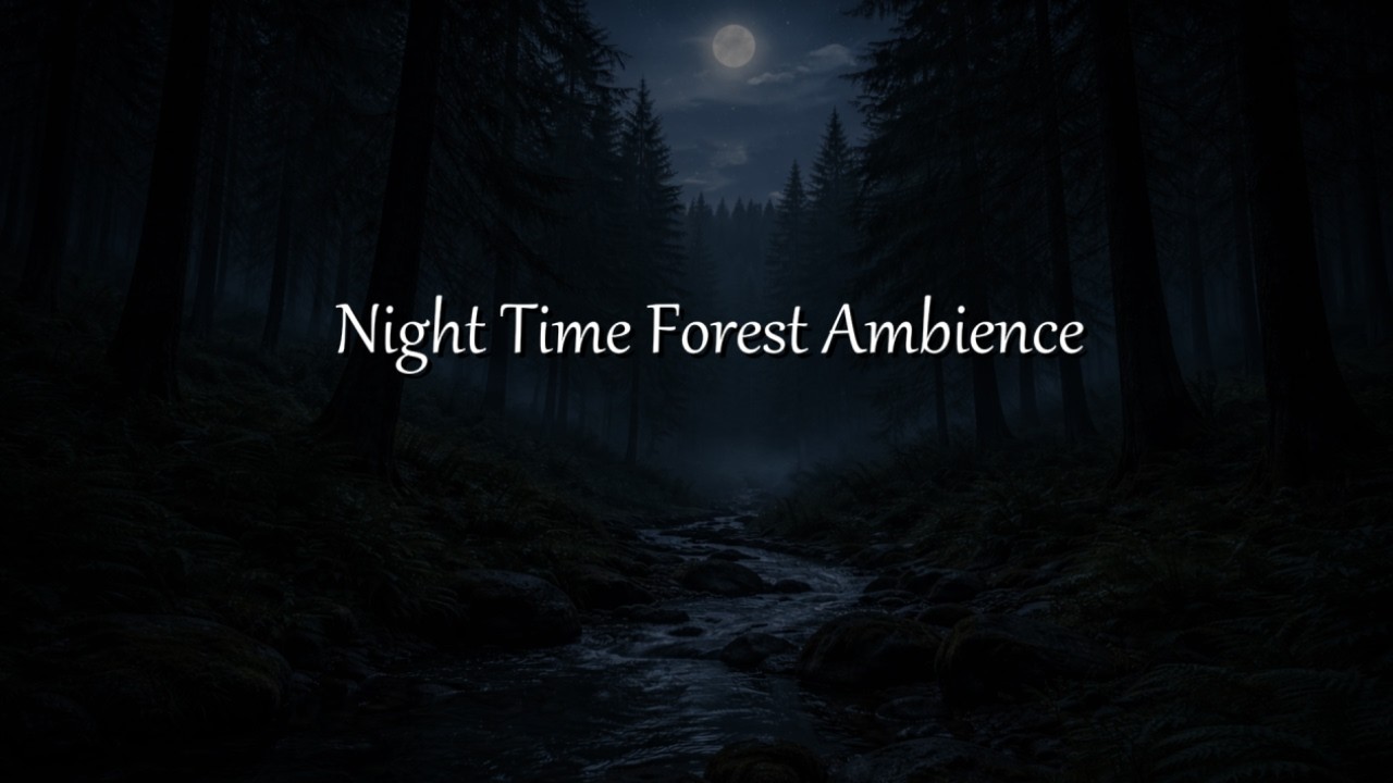 🌙 Night Time Forest Ambience | 7 Hours of Peaceful Nature Sounds for ...