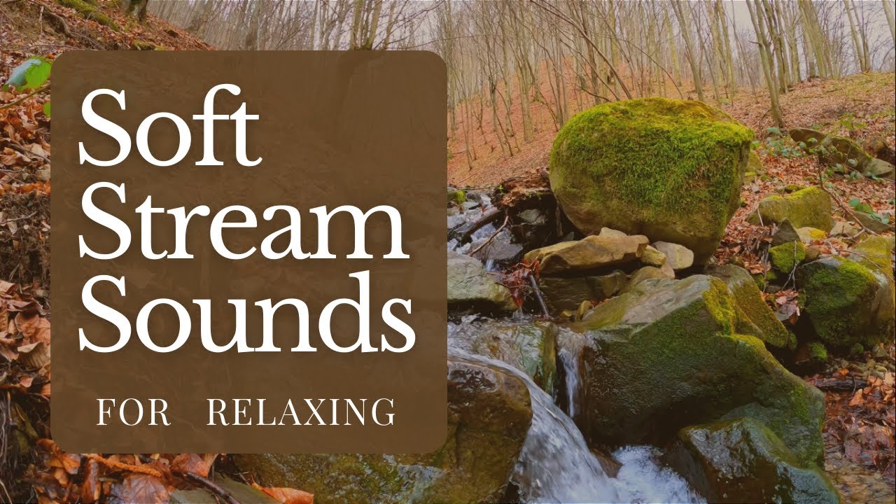 4Hrs of Forest Stream Sounds- Water trickling down rocks- River sounds ...