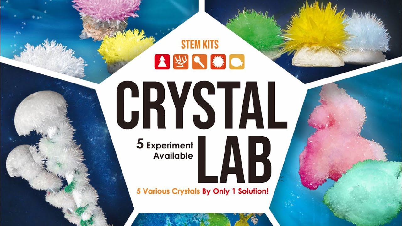 Crystal Lab - 5 Experiment In 1 Kits - Sea Urchin Crystal / Spiky Wand ...