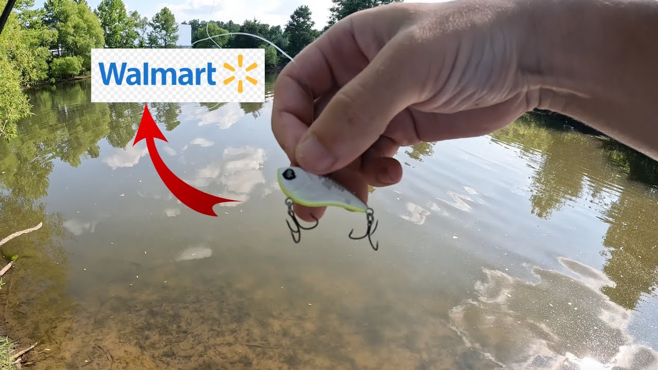 FISHING HIDDEN POND BEHIND WALMART!!! (Surprising!) - YouTube