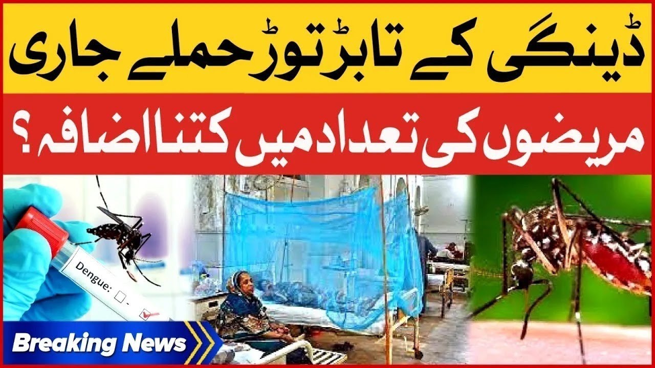 Dengue Fever Broke All Records | High Alert Issued in Hospitals ...