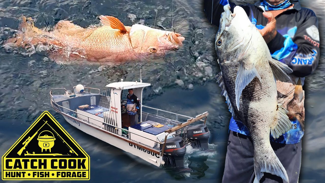 Fishing Musselcracker and Steenbras on a charter, Mossel bay, South ...