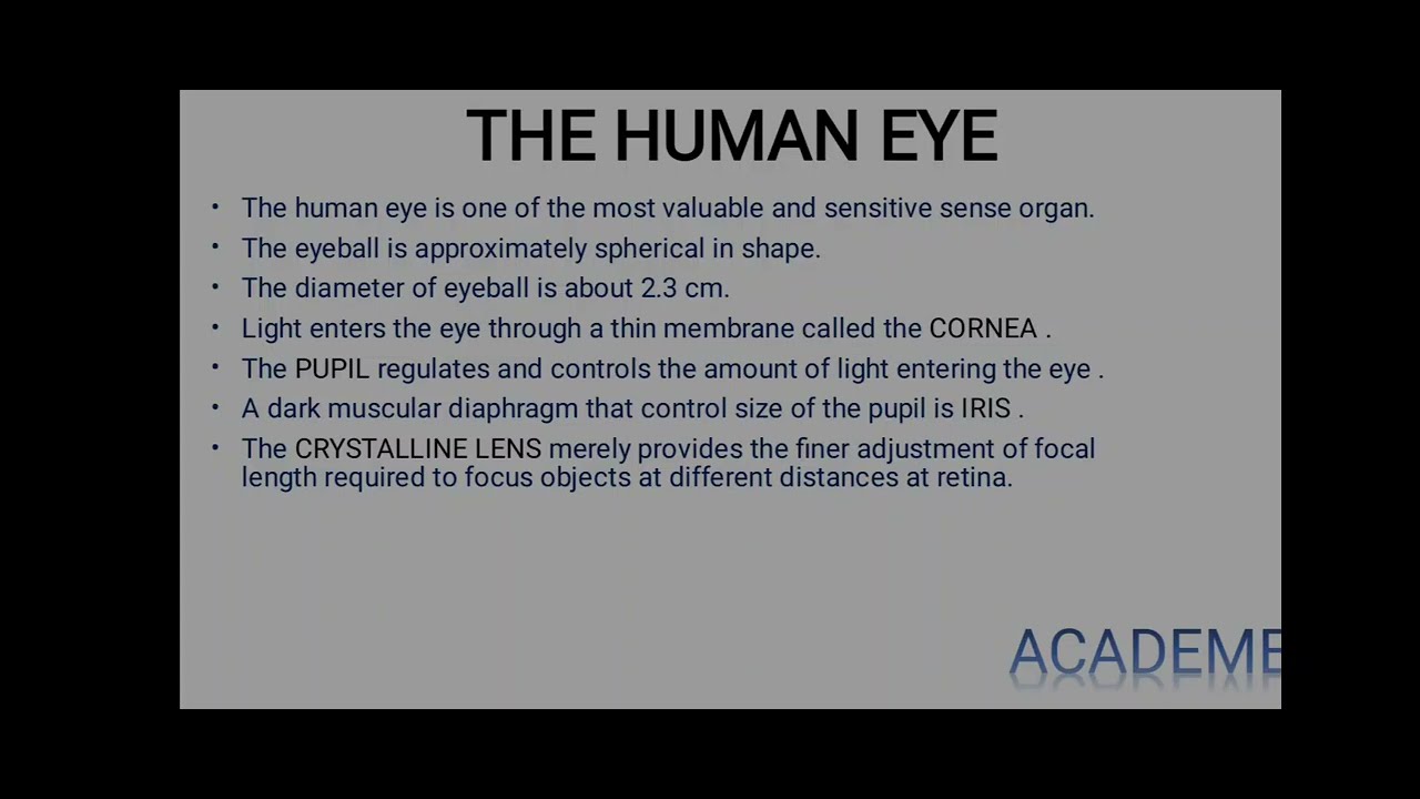 HUMAN EYE ! ALL IMPORTANT POINTS CLASS 10 - YouTube