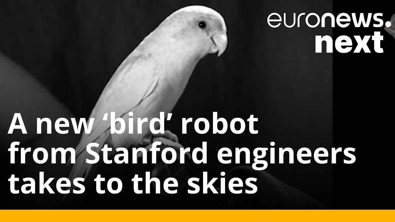 Stanford engineers have taken a leaf out of nature’s book to build this ...