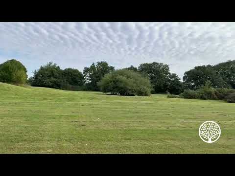 A quick look at the outdoor event space | The Greens, Waldringfield.