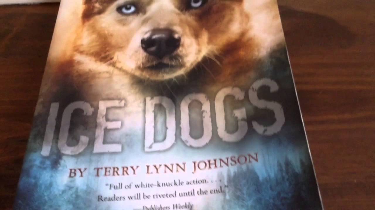 Ice Dogs And Bookshelf Review - YouTube