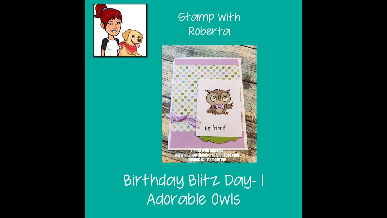 Birthday Blitz- Day 1- Adorable Owls - YouTube