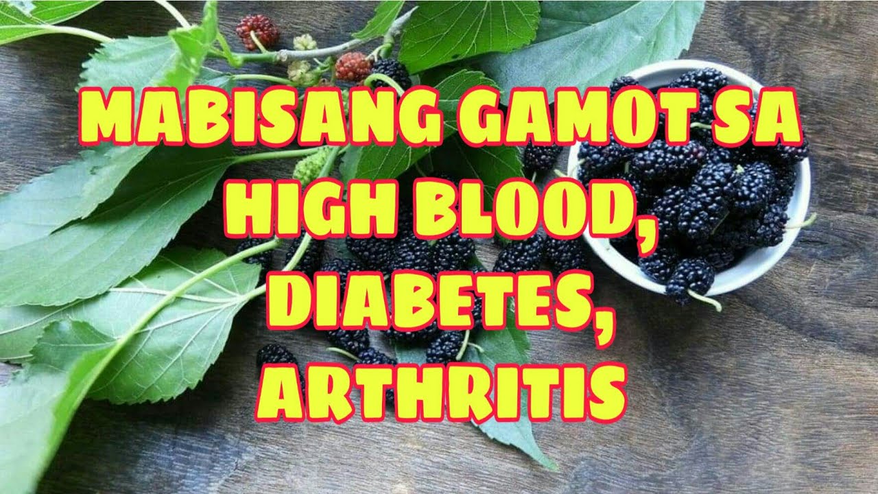 MULBERRY Mabisang gamot sa High Blood, Diabetic, Arthritis etc. - YouTube