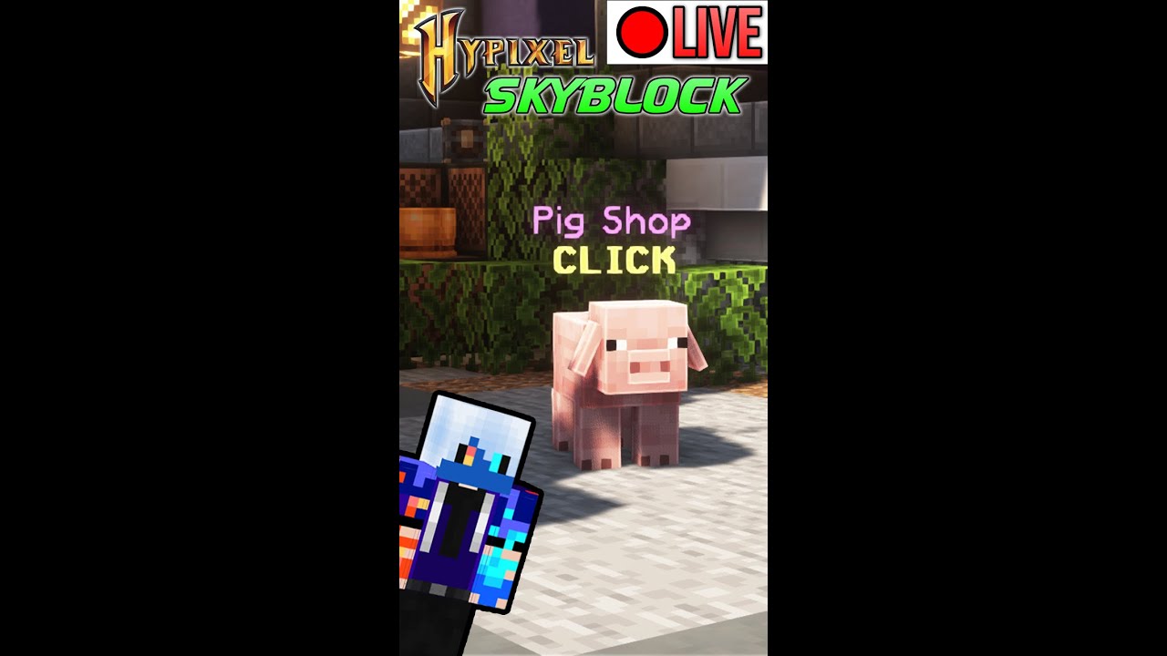 Hunting Shiny Pigs On Hypixel Skyblock [ Vertical Version ] - YouTube