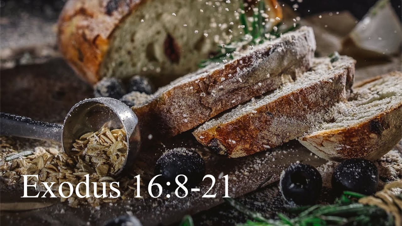 Exodus 16:8-21 - YouTube