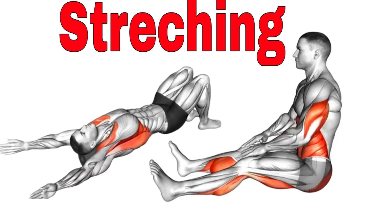 Stretching Exercises Every day Morning|Do This Everyday Exercise| - YouTube
