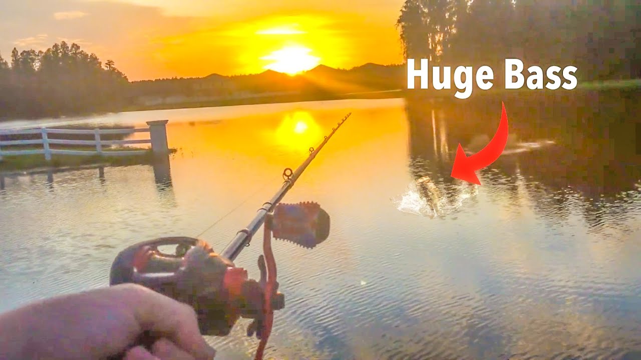 EPIC Sunset Fishing in NEW pond!!! (HUGE FISH) - YouTube
