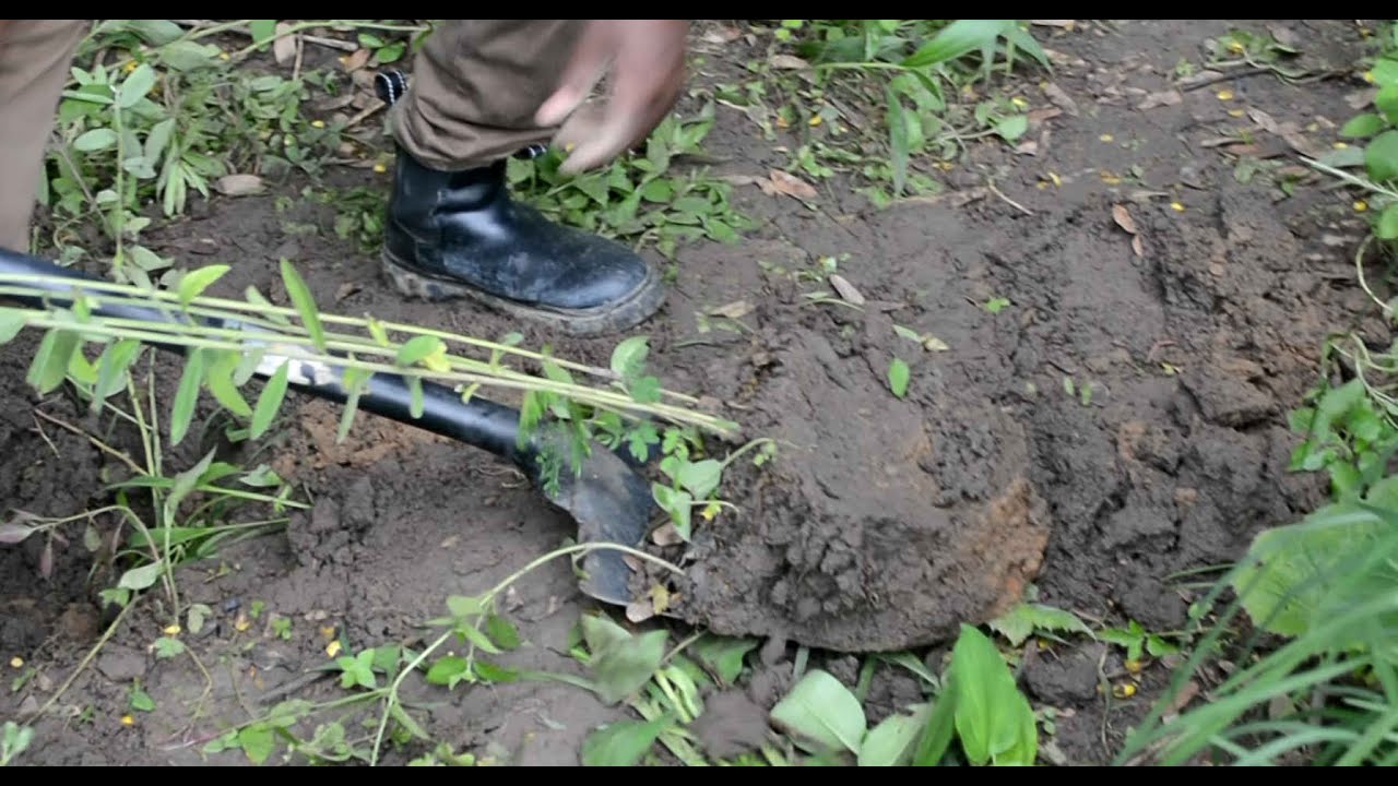 Spade Test - YouTube