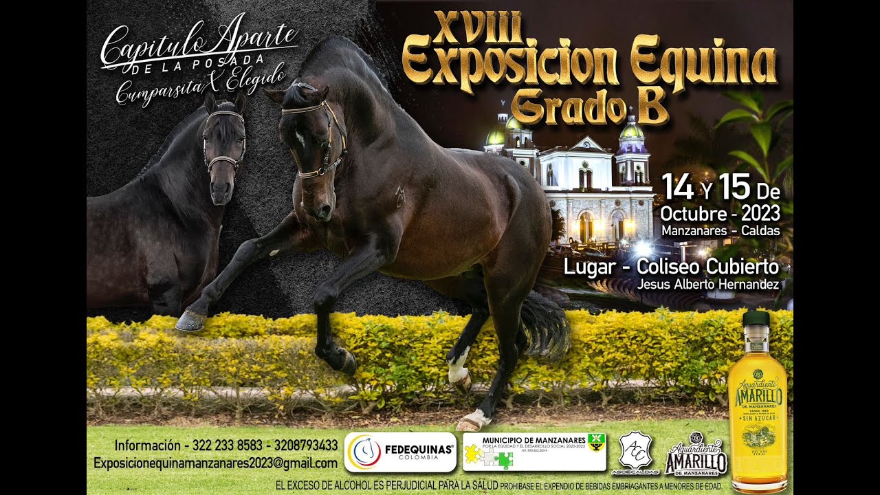 XVIII EXPOSICÌON EQUINA GRADO "B" MANZANARES CALDAS 2023- DIA 1- PASO FINO COLOMBIANO/TROTE Y ...