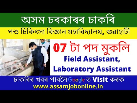 College of Veterinary Science, Guwahati Recruitment | Government job in Assam | Assam Job Online