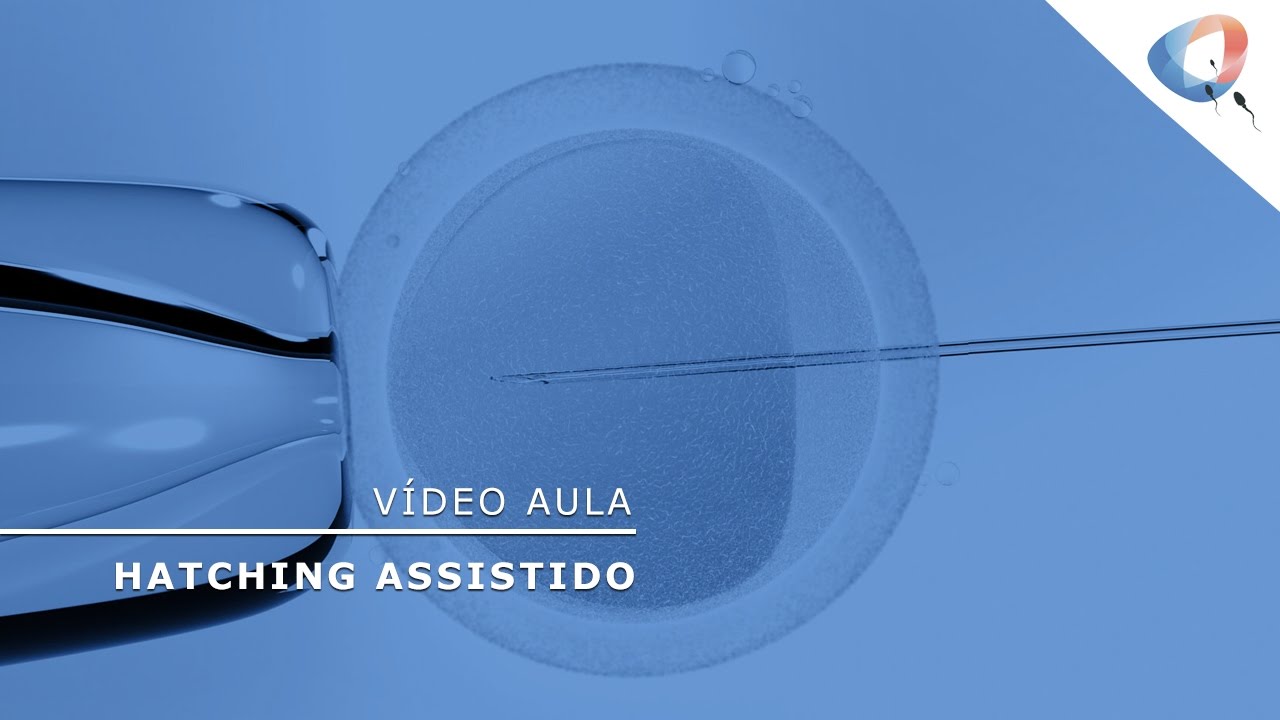 Hatching Assistido - YouTube