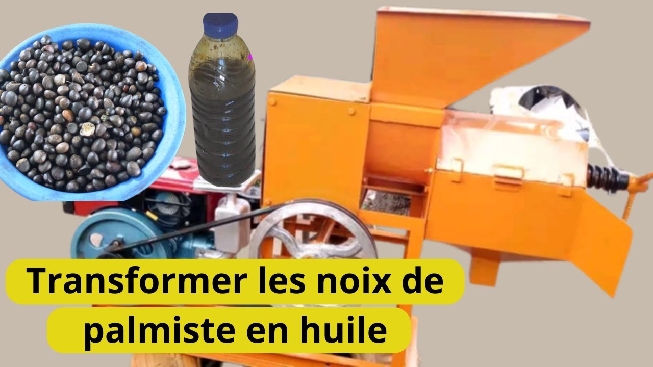 Transformation des noix de palmistes en huile - YouTube