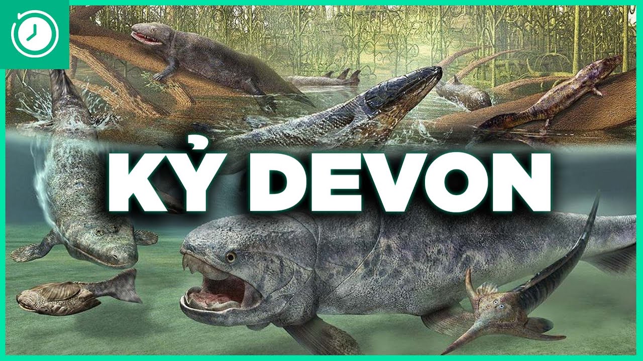 KỶ DEVON - Tất Cả Động Vật Trên Cạn Đều Có Nguồn Gốc Từ Dưới Nước | MÁY ...