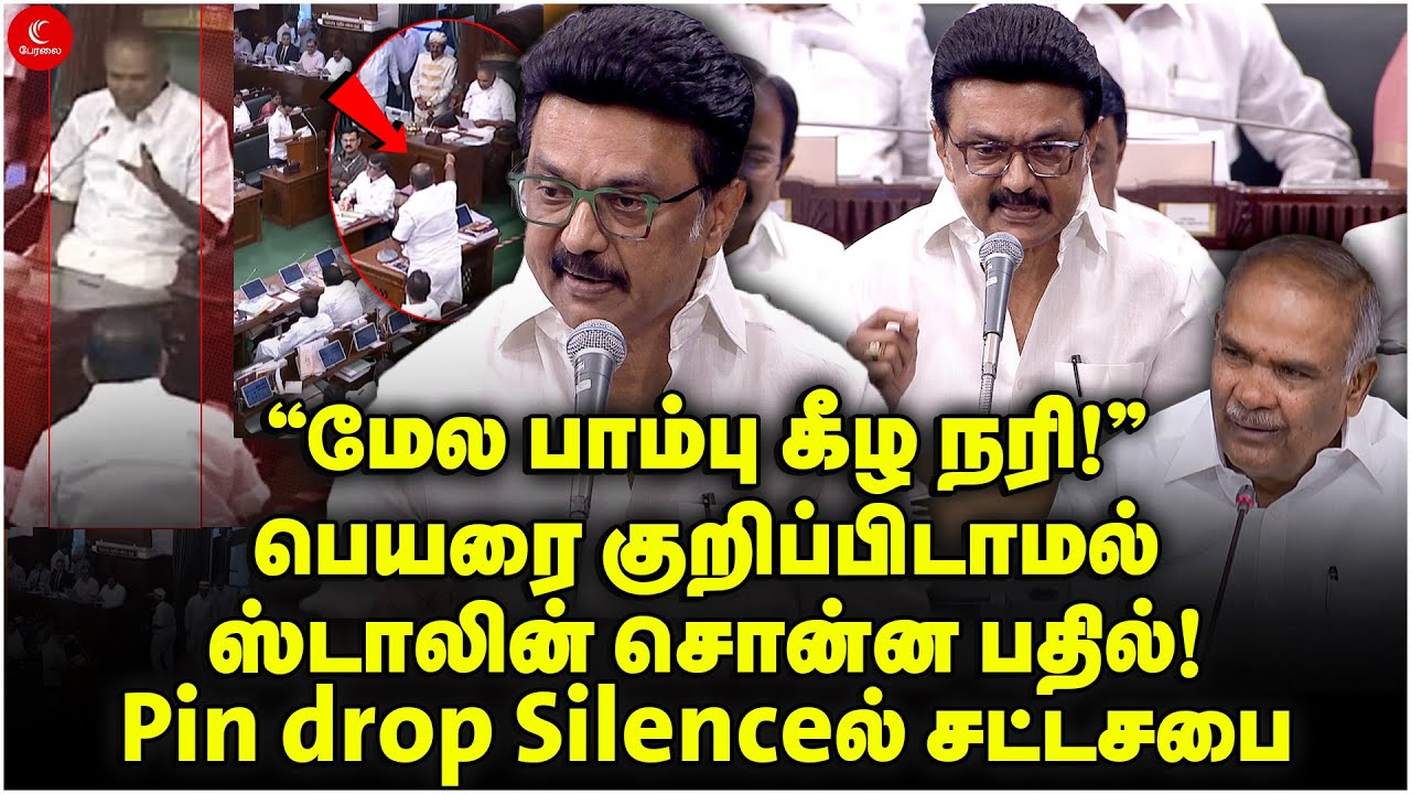 “மேல பாம்பு கீழ நரி!” பெயரை குறிப்பிடாமல் CM Stalin சொன்ன பதில்! Pin drop Silence-ல் TN Assembly ...