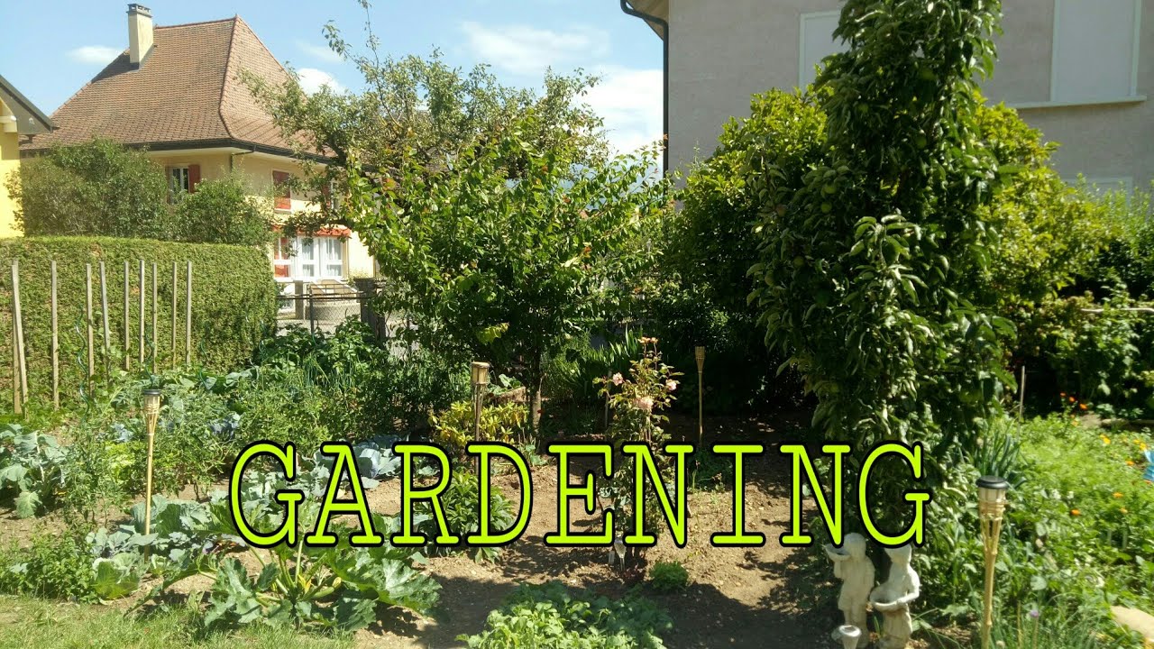 GARDENING - YouTube