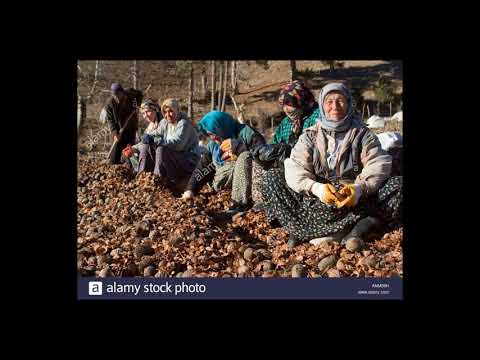 [Wikipedia] 2005 in Turkey