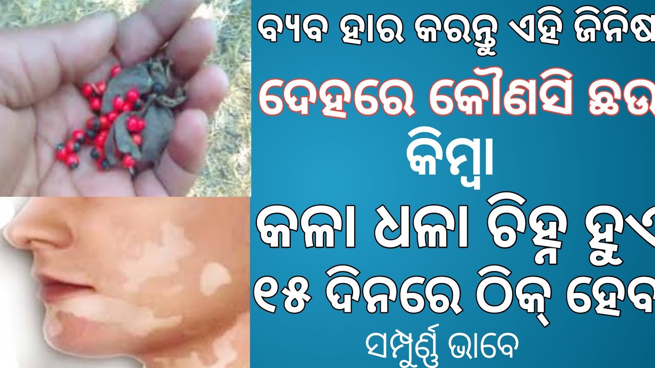 #TANTRAVIDYA Gunja fal ke fayde | Gunja Herbal Plant | Abrus ...
