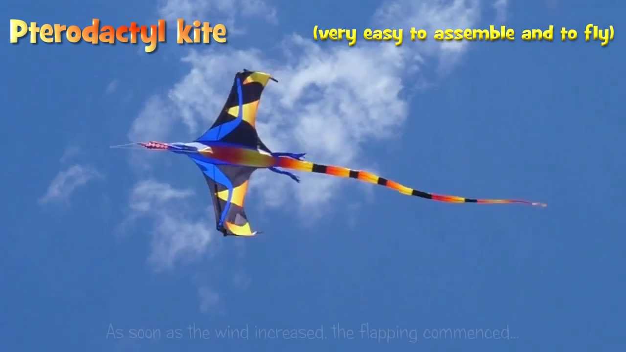 Giant Pterodactyl kite - YouTube