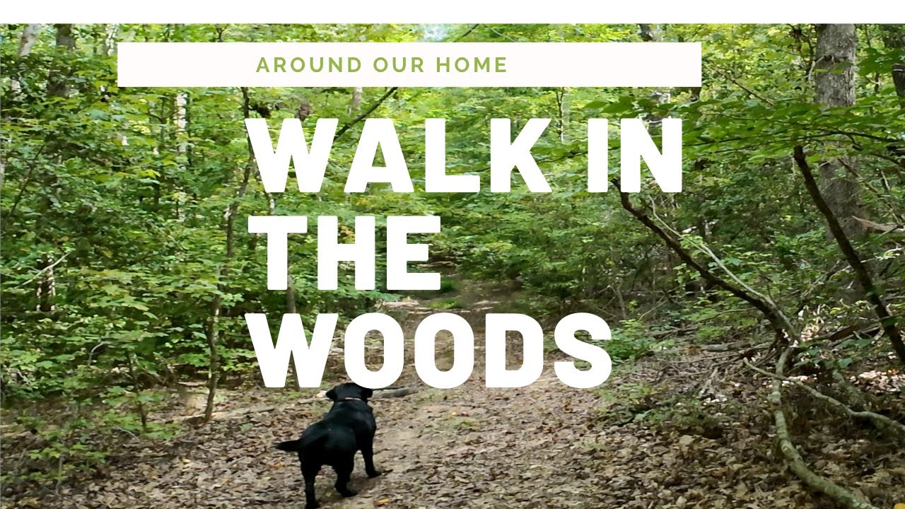 Short Walk In The Woods Around Our Home. Interest? To Music? - YouTube