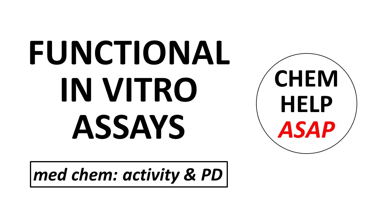 functional in vitro assays for drug discovery - YouTube