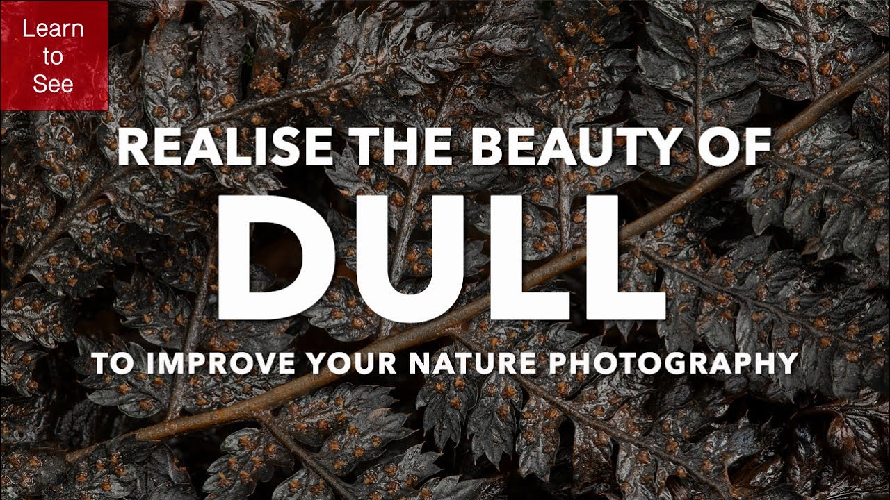 Improve your Nature Photography and Realise the Beauty of Dull - YouTube
