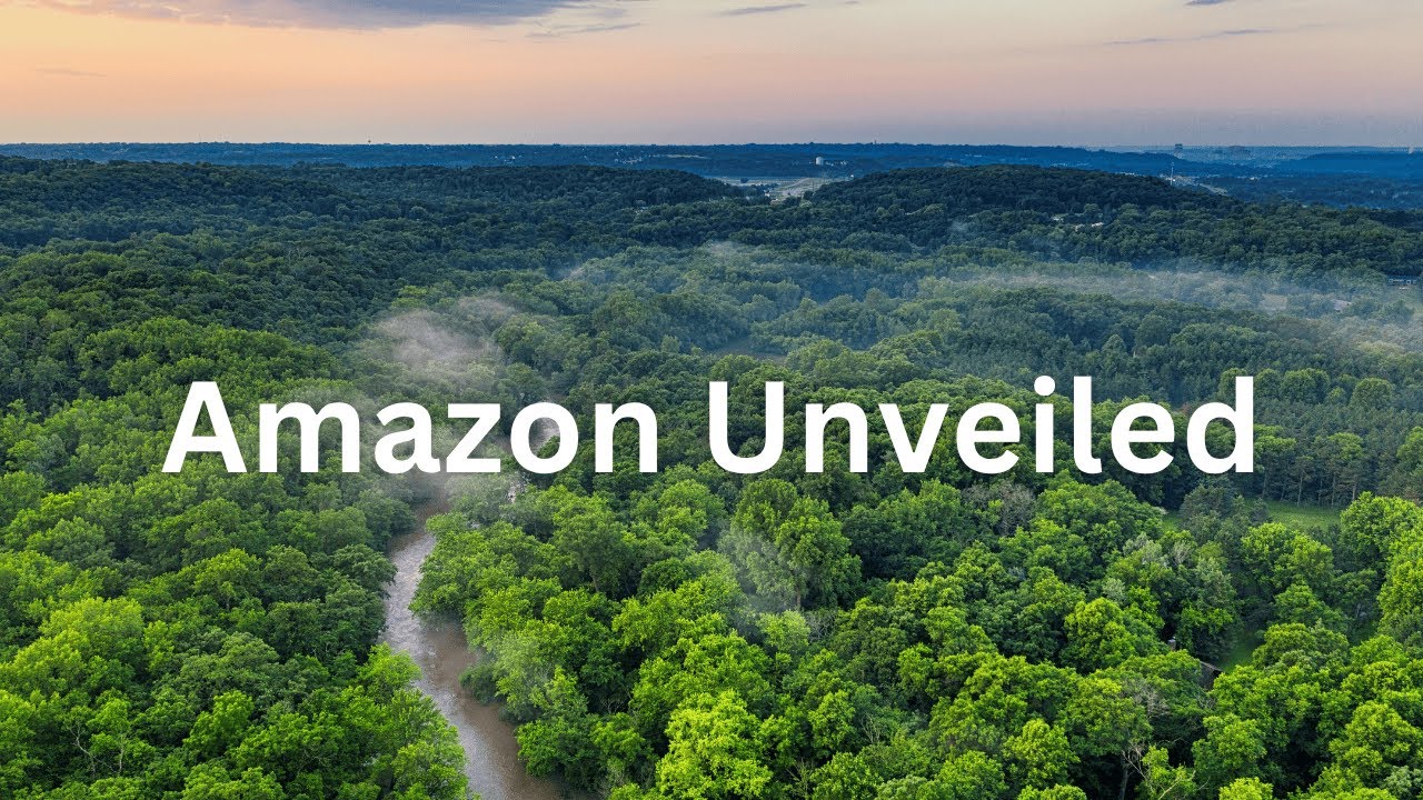 10 Amazing Facts About the Amazon Rainforest | Learn & Relax with ...