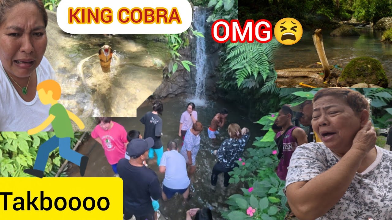 OMG MAY NAKITANG KING COBRA SA FALLS NA PALILIGUAN NAMIN🥺😯😭 - YouTube