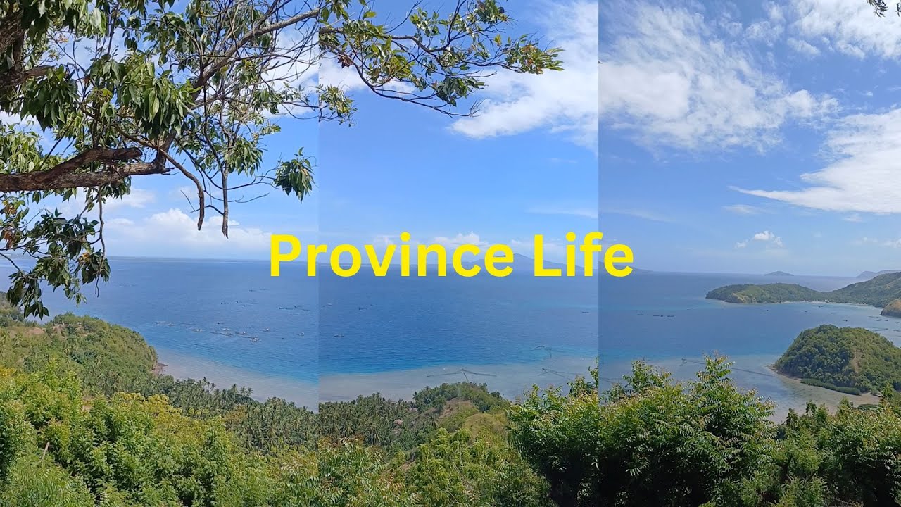 Province Life 💚 - YouTube