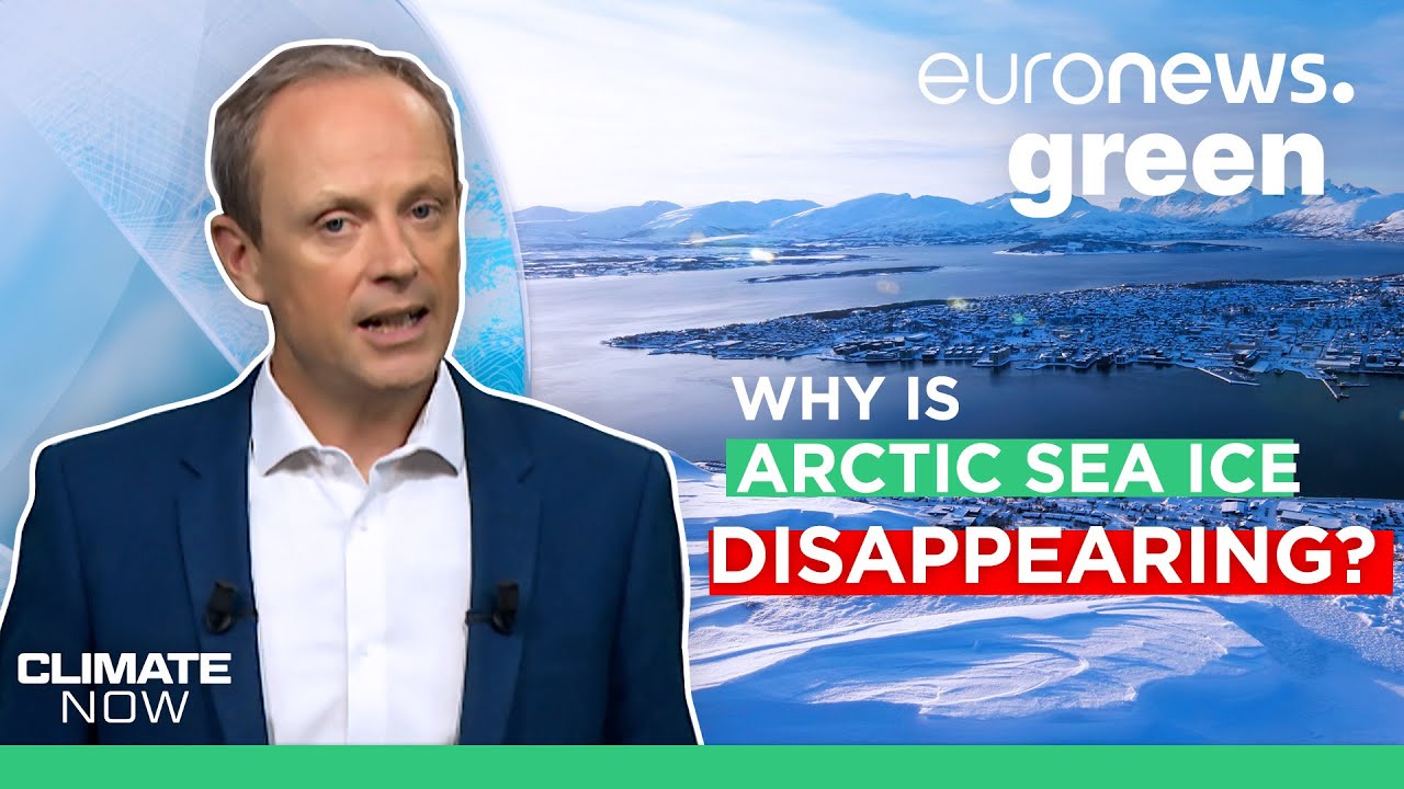 Why is Arctic ice getting younger and thinner? - YouTube
