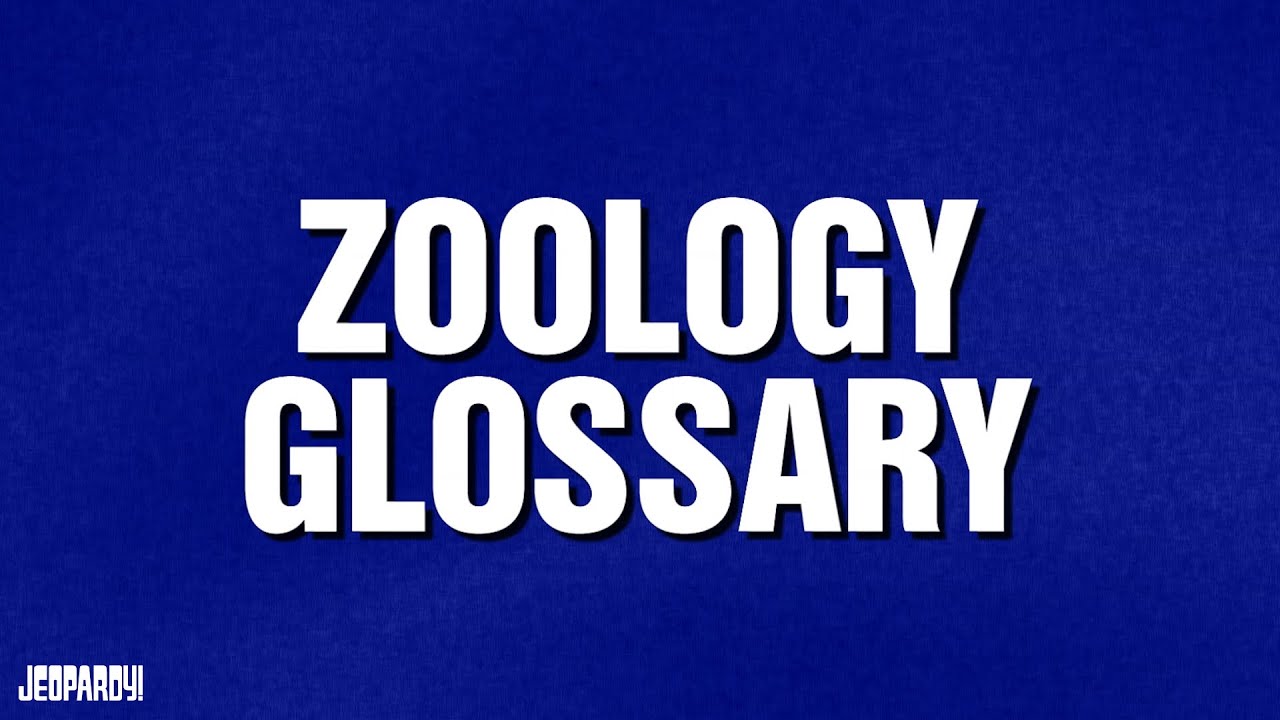 Zoology Glossary | Category | JEOPARDY! - YouTube
