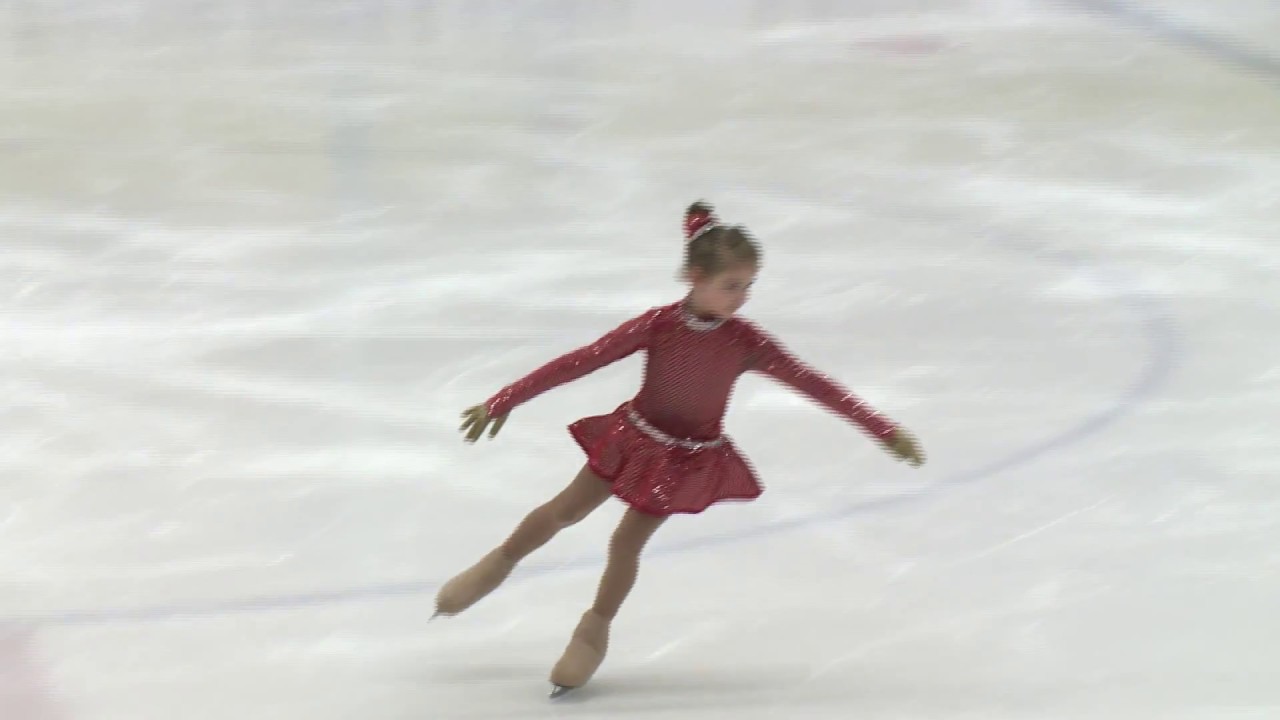 Ina Bauer Pokal 2018 Freiläufer 1A 1B 1C 2A 2B - YouTube
