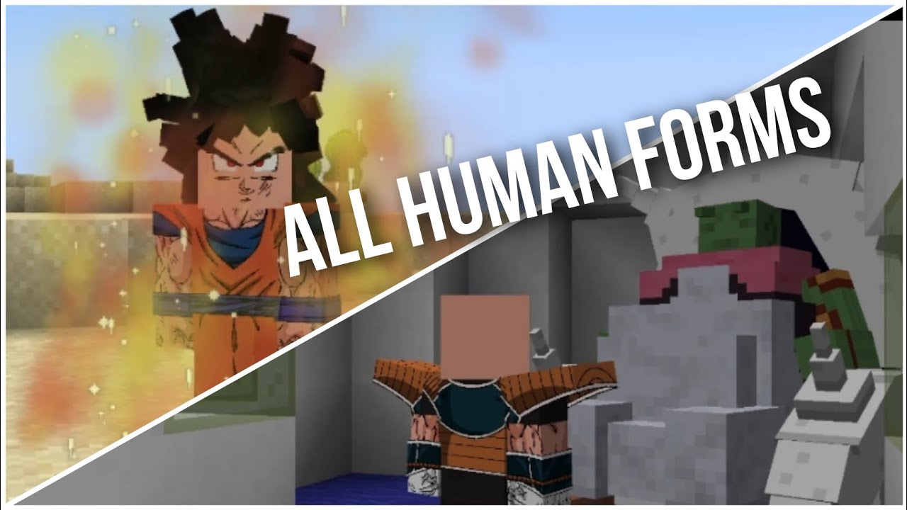 All Human Forms | Dragon Block C - YouTube