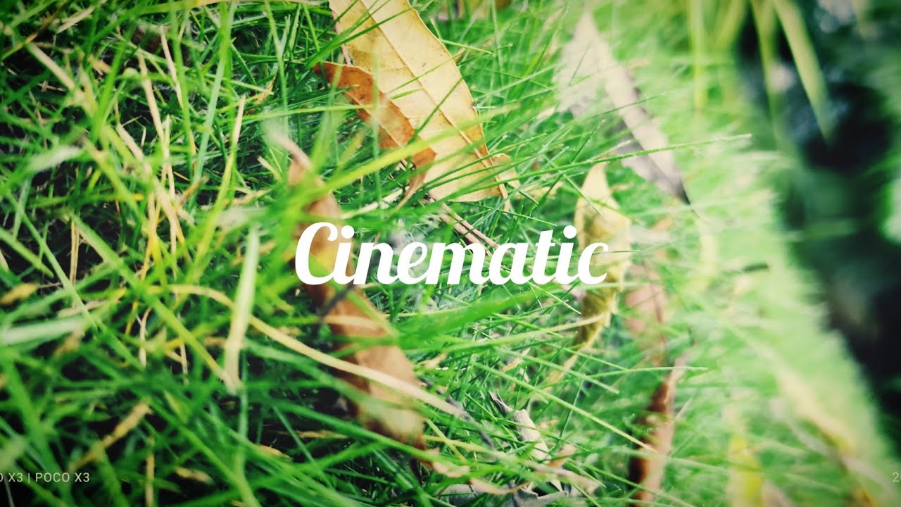 Cool videography in village site/ cover by country and cow..... - YouTube