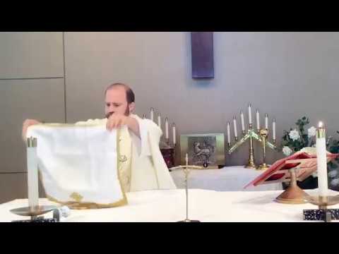 Friday of the 14th week in OT July 10, 2020 with Fr Andy Davy, MIC ...