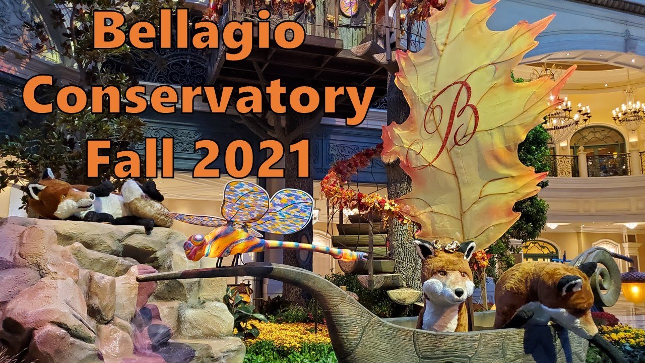 Bellagio Conservatory 2021 | Bellagio Garden Fall Harvest Display ...