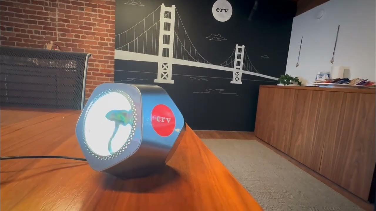 CRV Ferrofluid Audio Visualizer Bluetooth Speaker Swag - YouTube