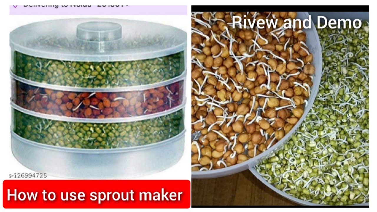 अब बिना झंझट चना और मूंग को अंकुरित करें आसानी से । How To Use Sprout ...