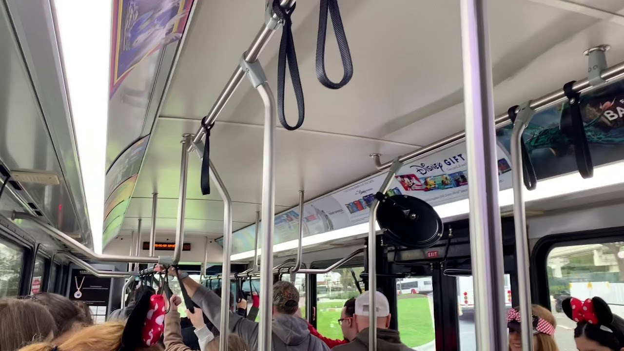 Disney World Bus Ride-To the Magic Kingdom on a cold day in February ...