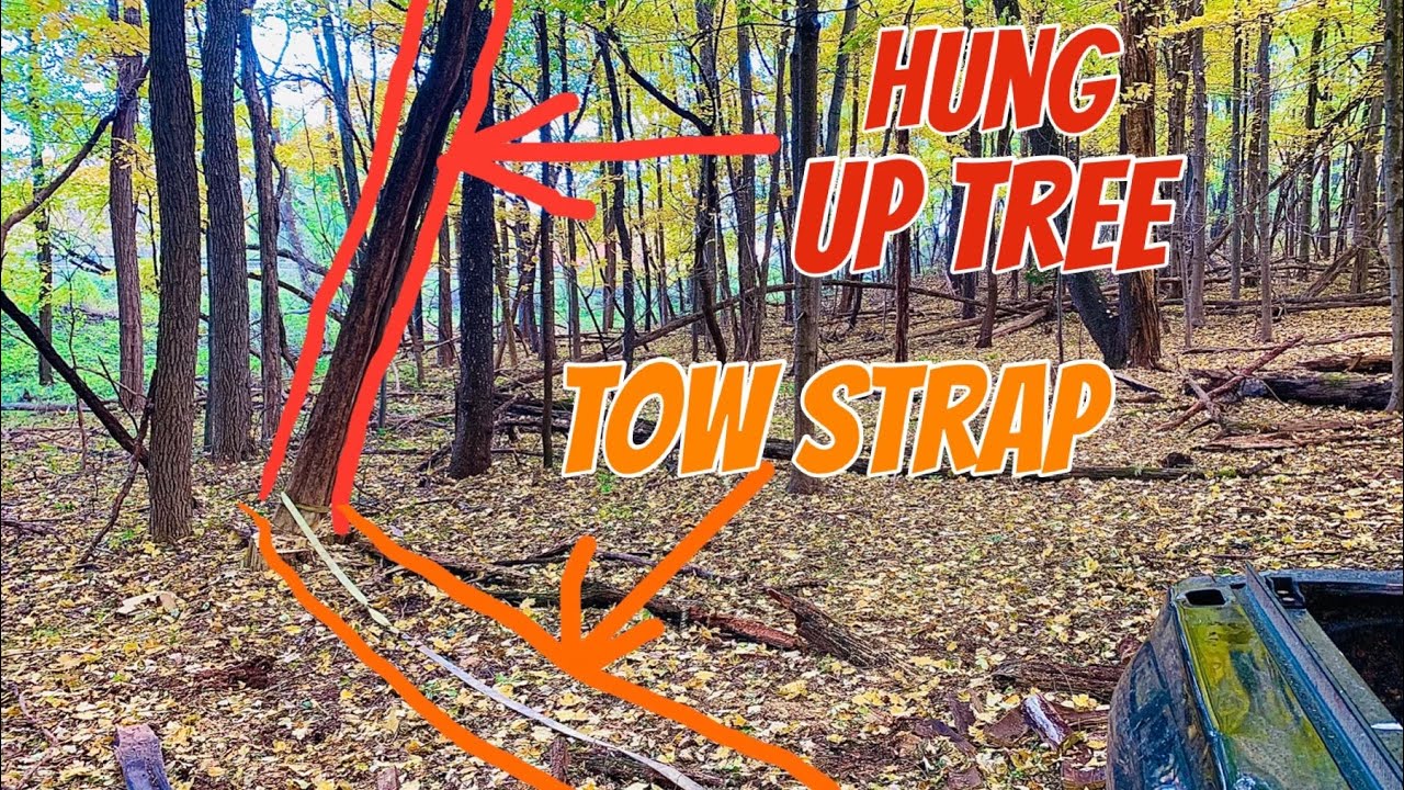 Darin attempts to pull down hung up locust tree with his Dodge Ram ...