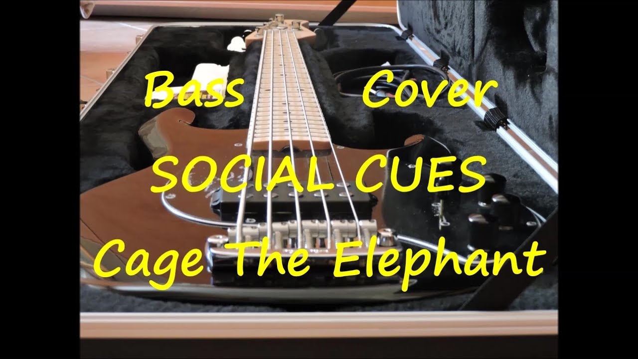 Cage The Elephant - Social Cues (BASS COVER + TAB) - YouTube