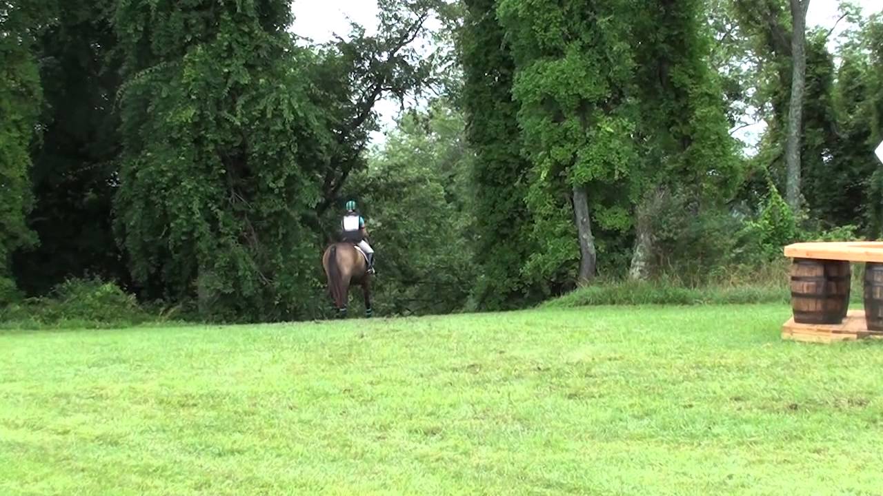 Liza Frazer & Providence's Maxwell at Millbrook International Horse ...